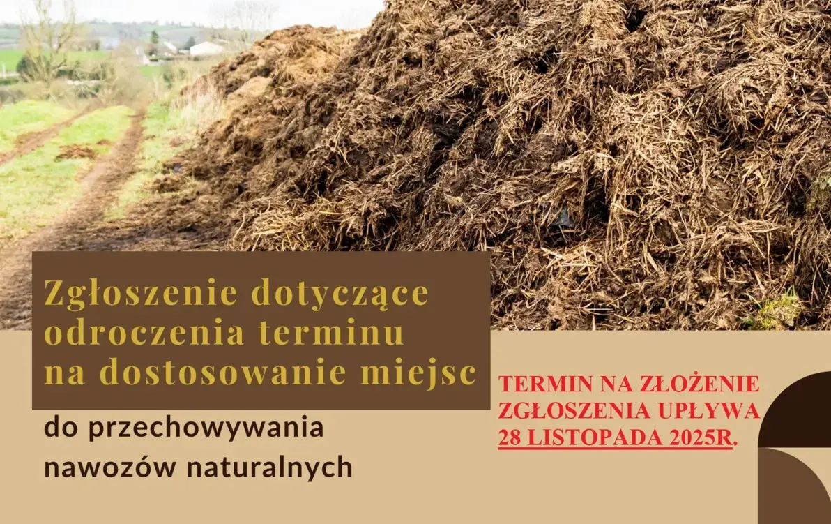 Portal informacyjny UG Ryjewo - UG Ryjewo